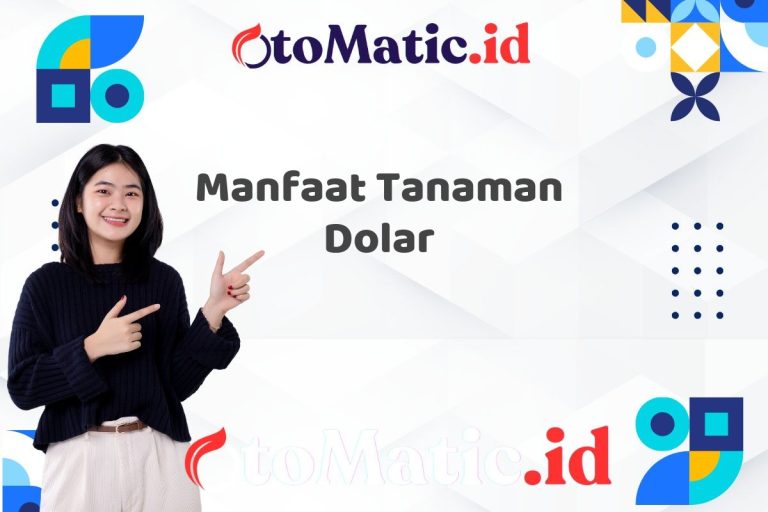 Manfaat Tanaman Dolar - OTOmatic.id