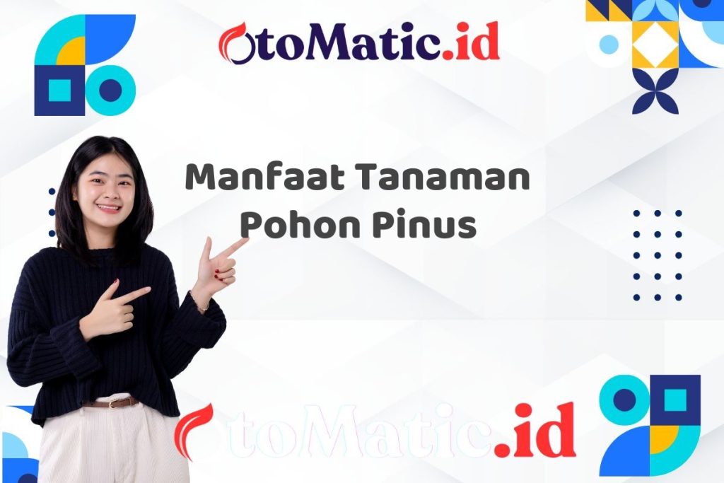 Manfaat Tanaman Pohon Pinus - OTOmatic.id