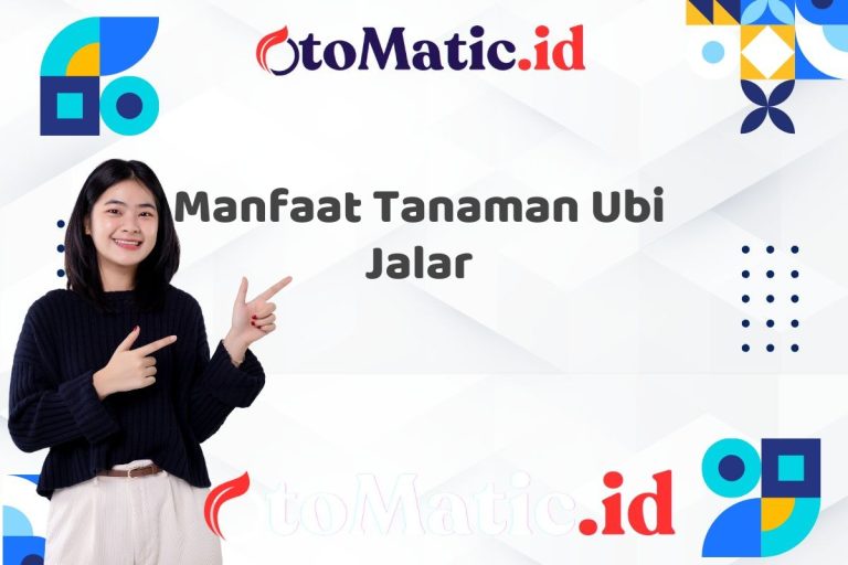 Manfaat Tanaman Ubi Jalar | OTOmatic.id